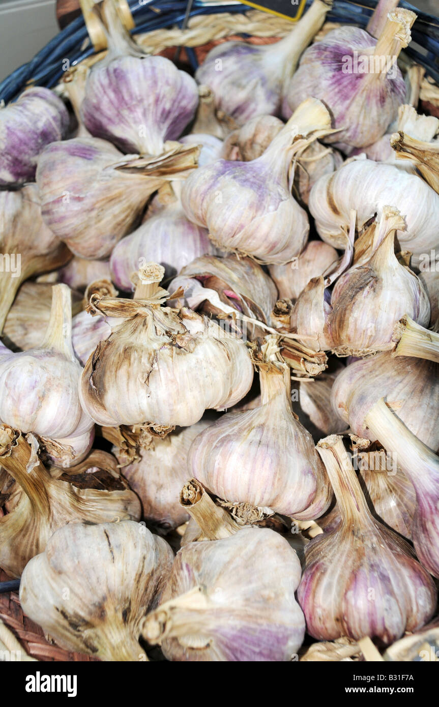 GARLIC ON MARKET STALL Stock Photo - Alamy