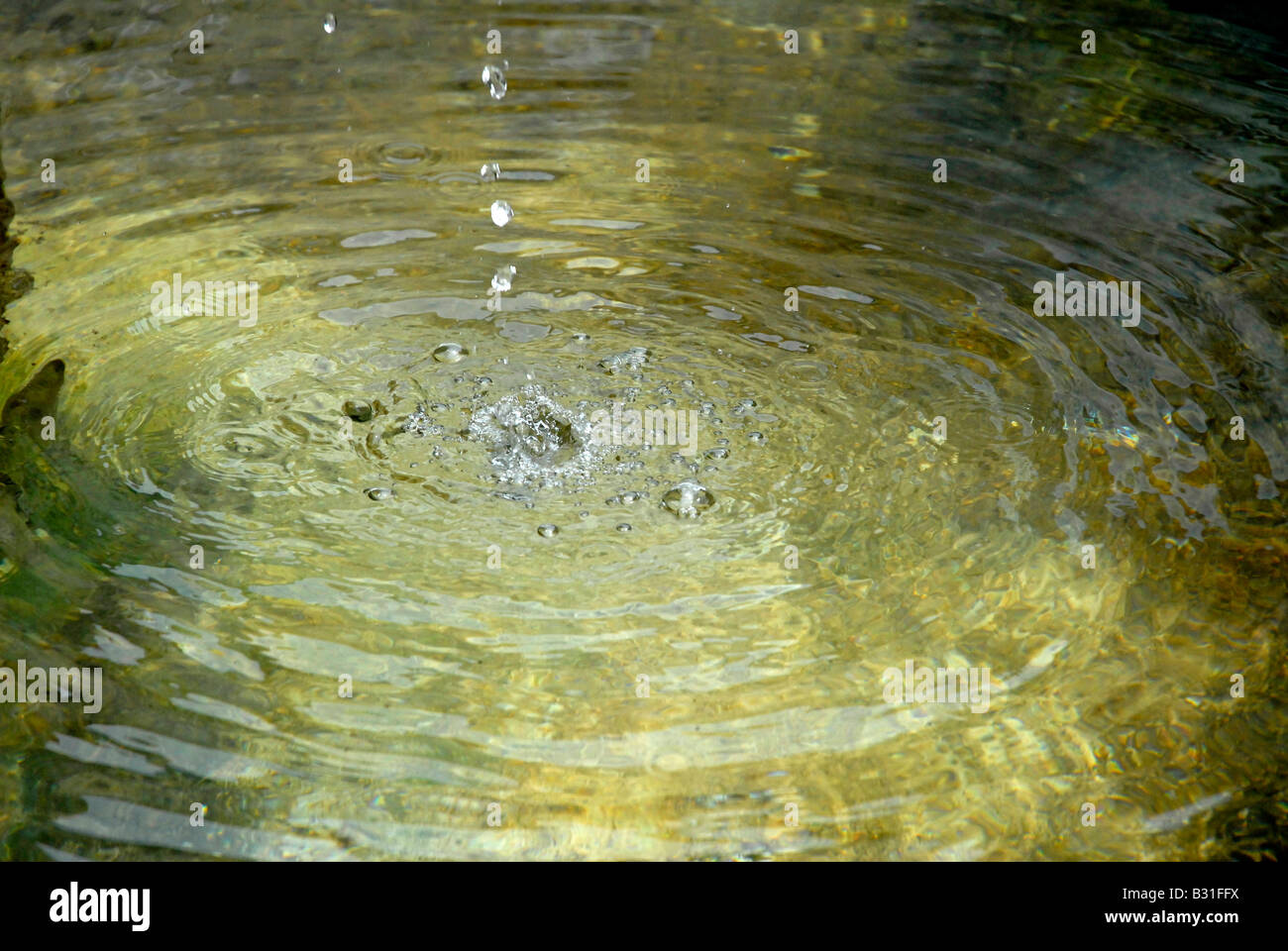 Ripples on pond hi-res stock photography and images - Alamy