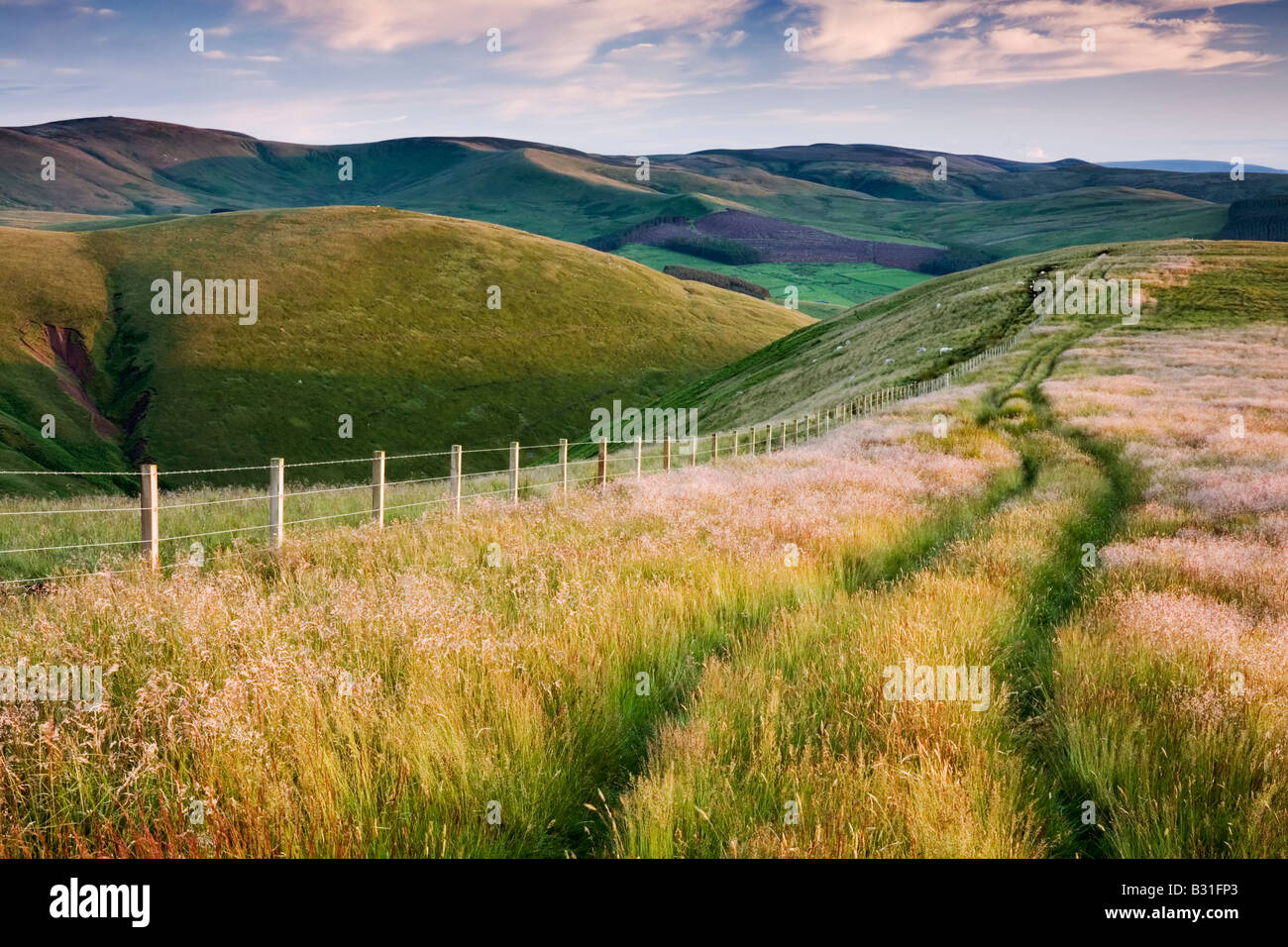Bowmont valley hi-res stock photography and images - Alamy
