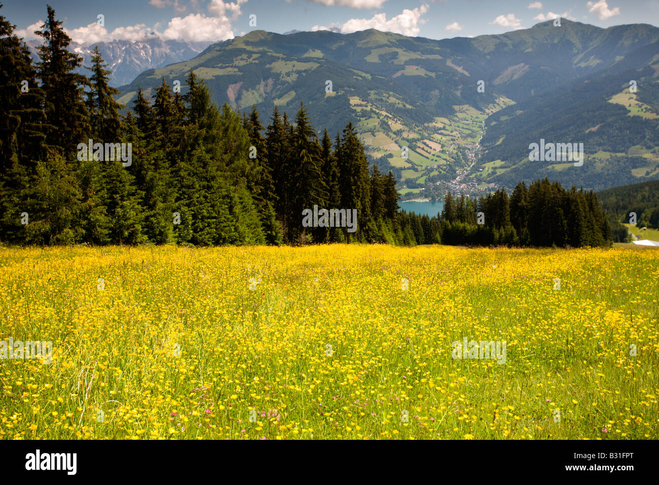 Colourful alpine meadows hi-res stock photography and images - Alamy