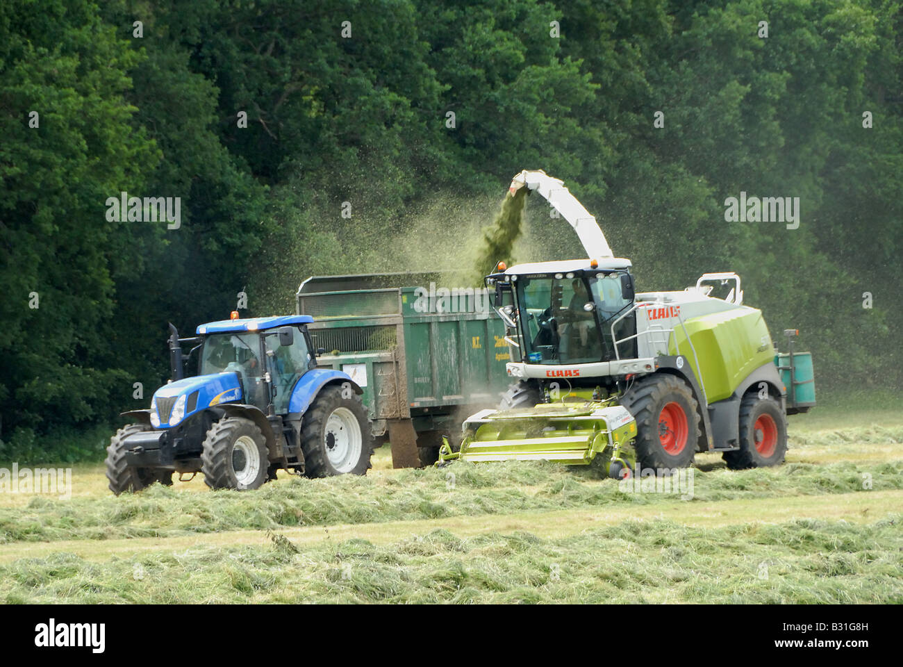 Silage cutting and forage harvesting pastureland for winter cattle feed ...