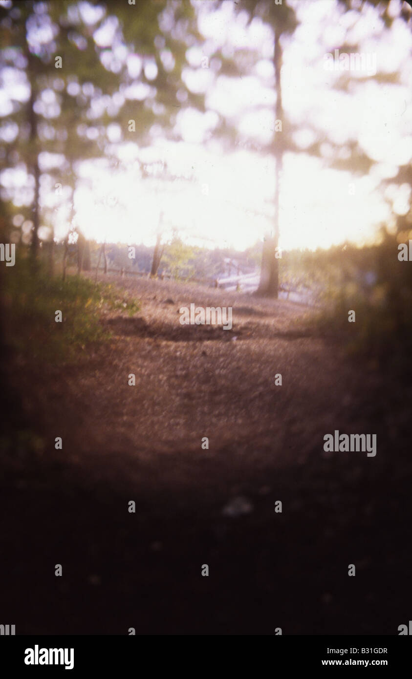 an eerie path in the woods Stock Photo - Alamy