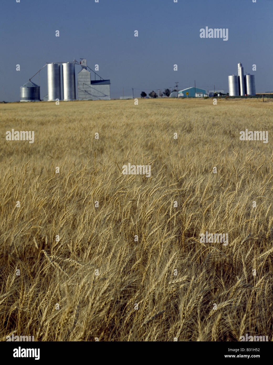 Grain elevators wheat field hi-res stock photography and images - Alamy