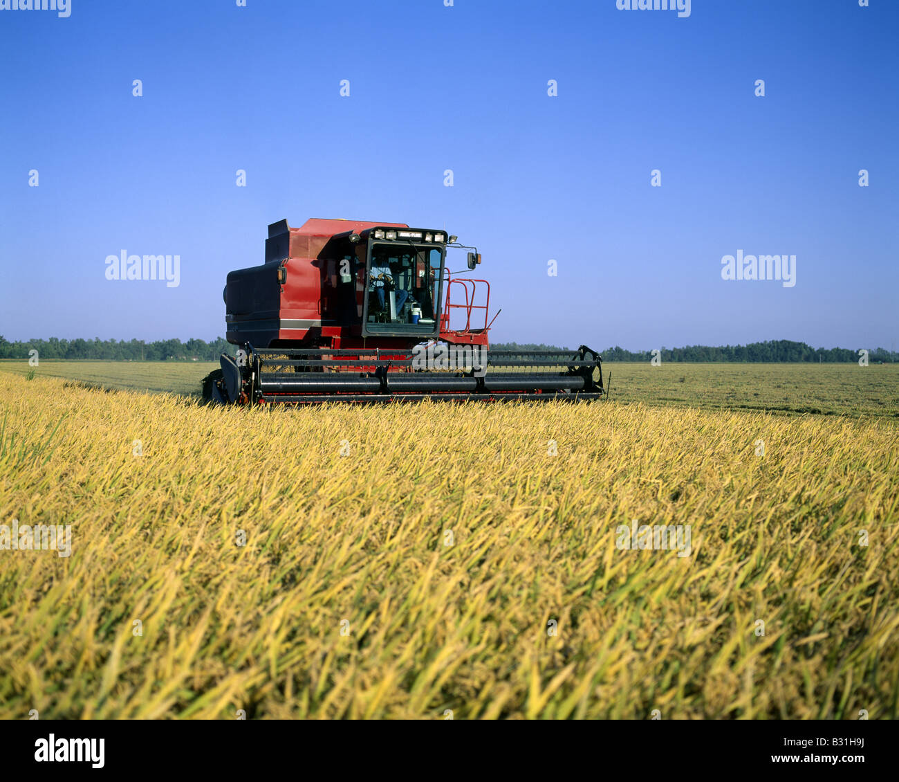 Mississippi delta farming hi-res stock photography and images - Alamy