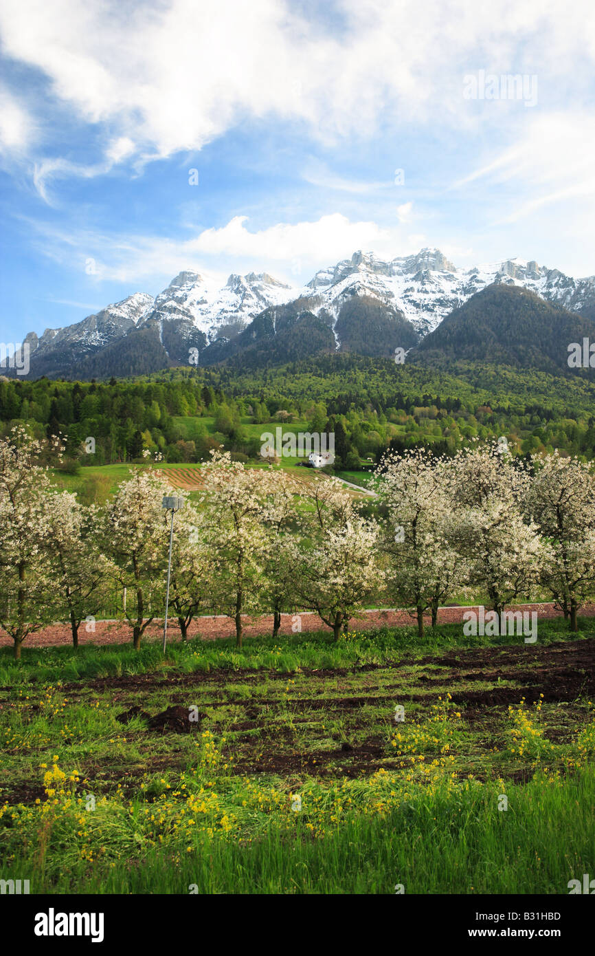 Spring in South Tyrol Stock Photo - Alamy
