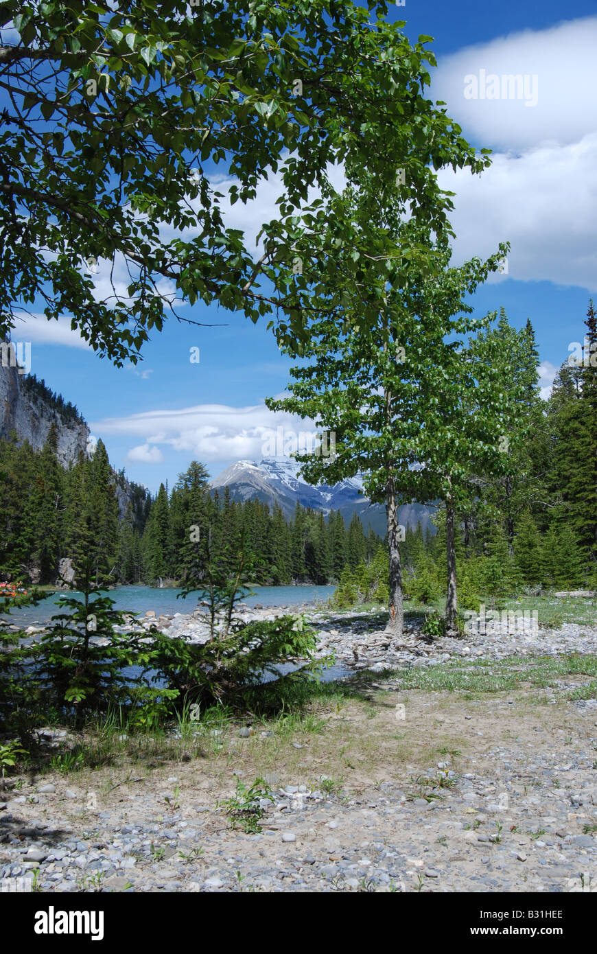 Along the bow river in Banff national park Stock Photo - Alamy