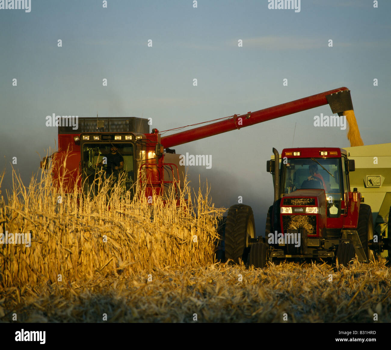 Combined Corn High Resolution Stock Photography and Images - Alamy