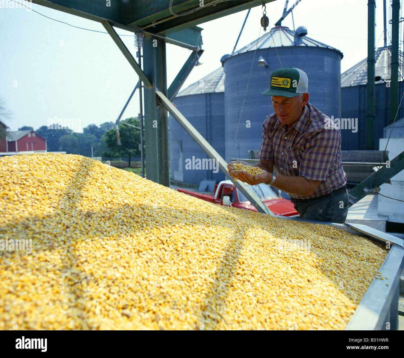 FILLING TRUCK WITH FEED CORN FROM BIN PENNSYLVANIA Stock Photo - Alamy