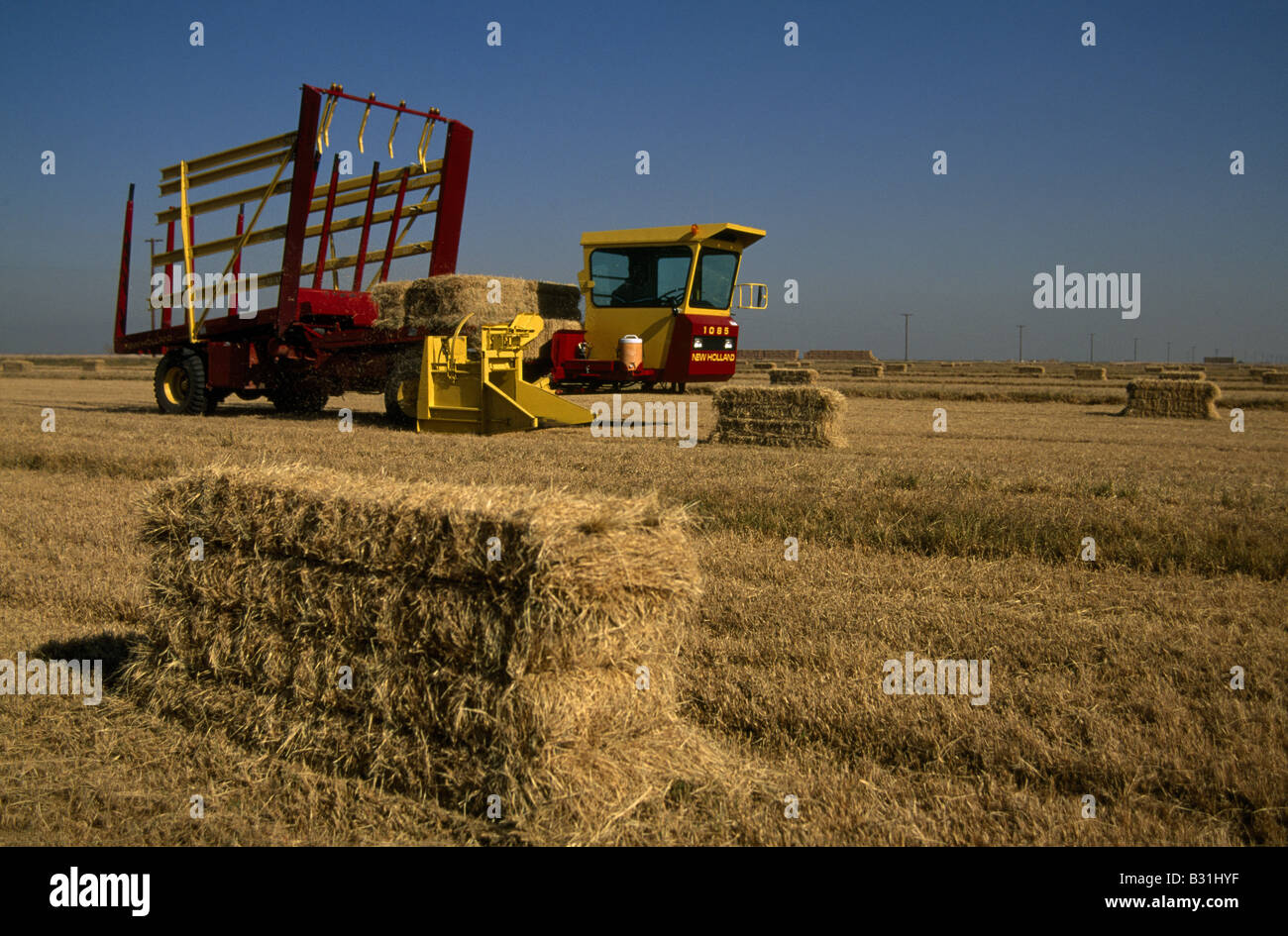 Baling plant hi-res stock photography and images - Alamy
