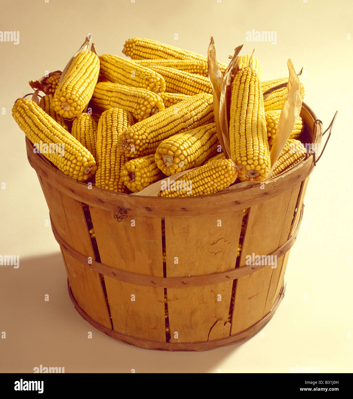 Dent Corn High Resolution Stock Photography and Images - Alamy