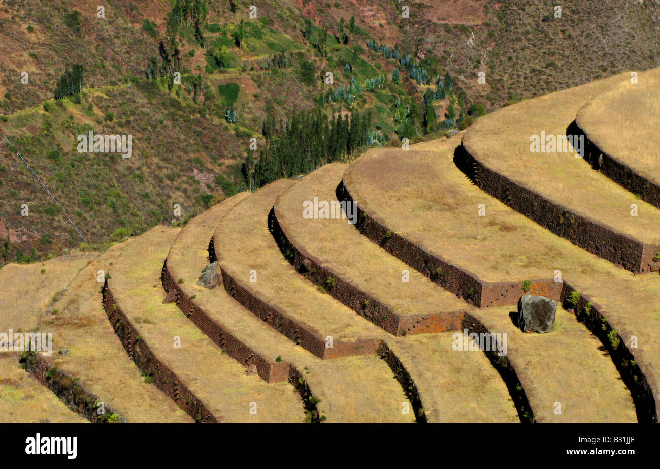 Inca terraces at Pisac in the Sacred Valley nr Cusco, Peru, South ...