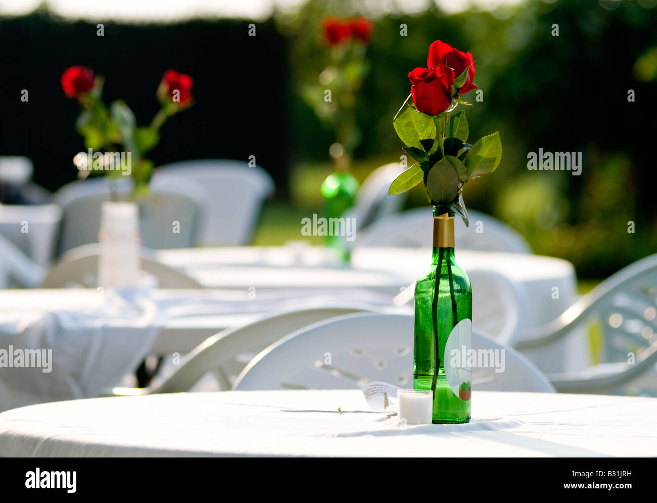 red roses in wine bottles at wedding reception Stock Photo - Alamy