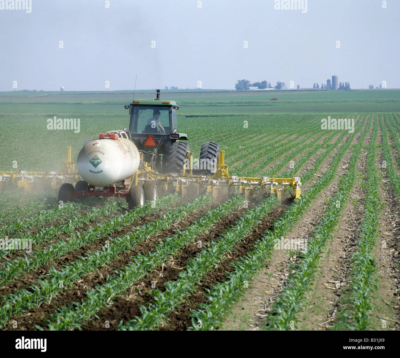 RIDGE TILL CULTIVATOR APPLYING WITH ANHYDROUS AMMONIA FROM TANK ONTO ...