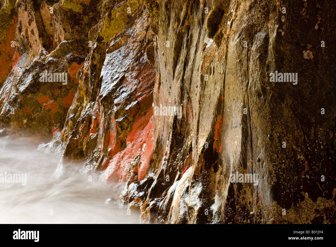 Beauty revealed in nature hi-res stock photography and images - Alamy