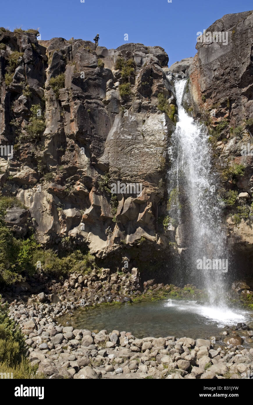 Taranaki Falls in Tongariro National Park, New Zealand Stock Photo - Alamy