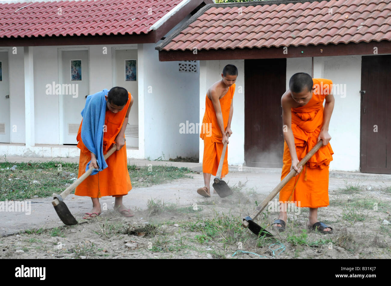 Monks working garden at Wat That Luang Neua Temple Stock Photo - Alamy