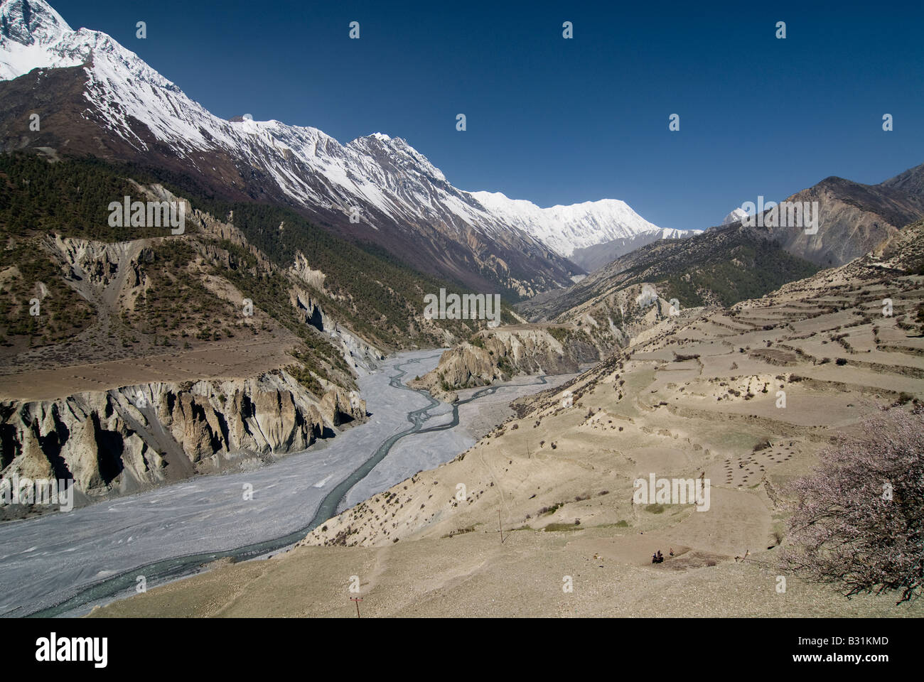 Manang trekking walking hiking roaming exploring walk hike trek circuit ...