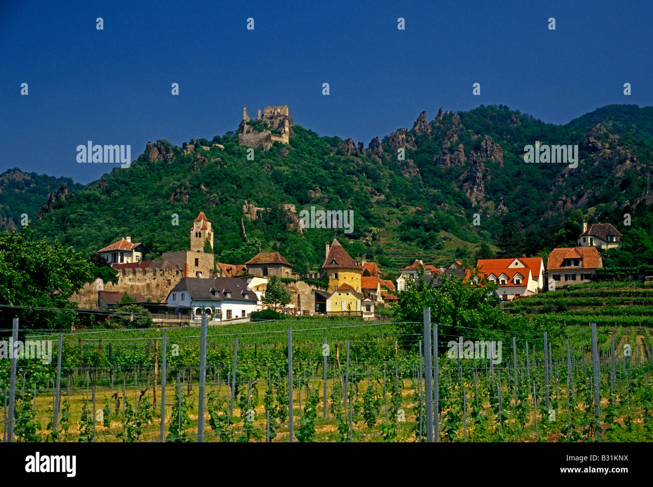 vineyard, Durnstein Castle, town of Durnstein, Durnstein, Wachau Valley ...