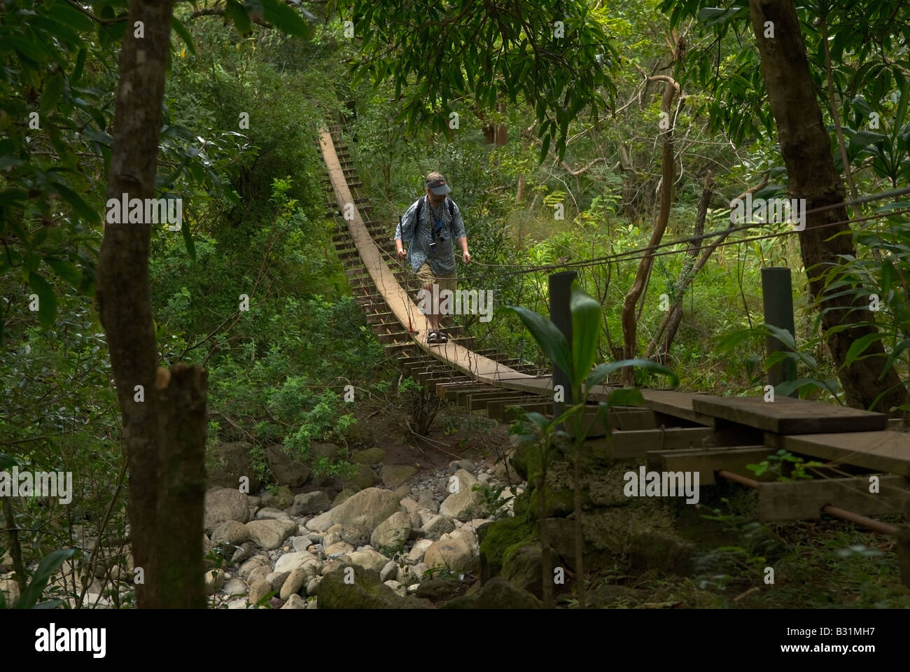 man crossing a suspension bridge Stock Photo - Alamy
