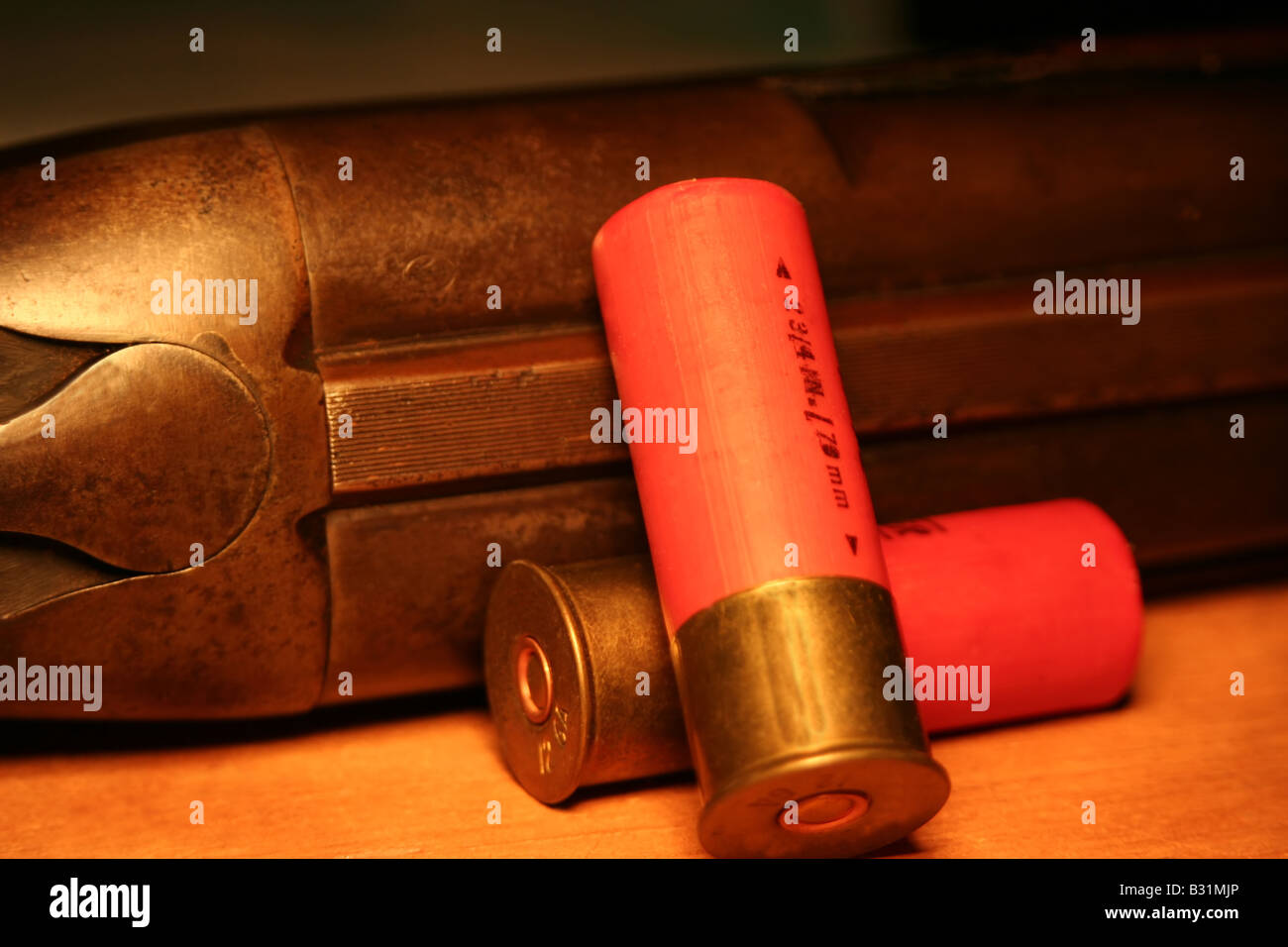 Shotgun and Shells Stock Photo - Alamy