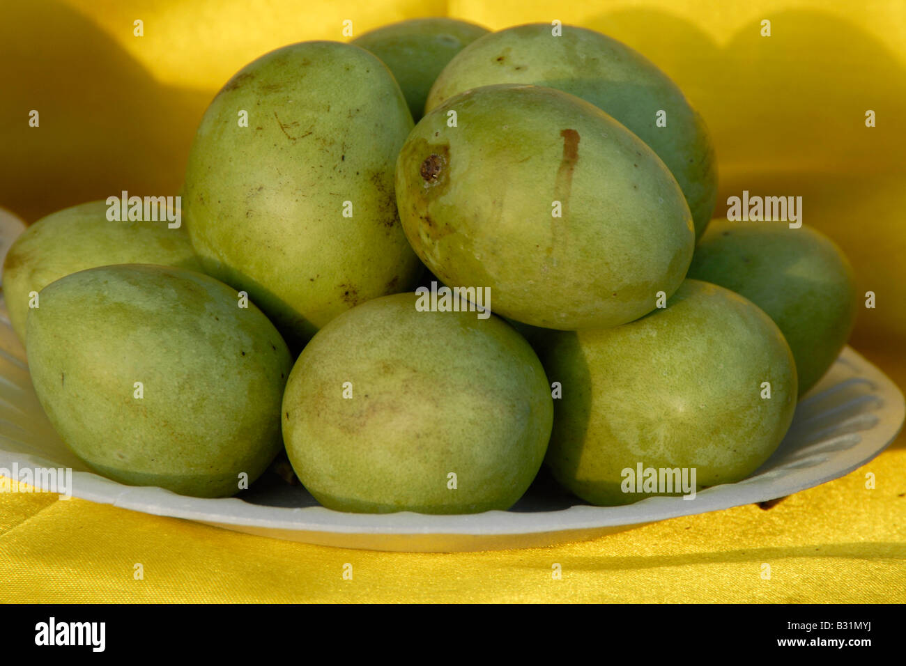 Mangos of India Stock Photo - Alamy