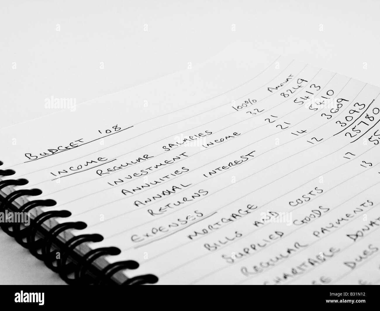 Handwritten Home Budget For Use in personal or small business financial ...