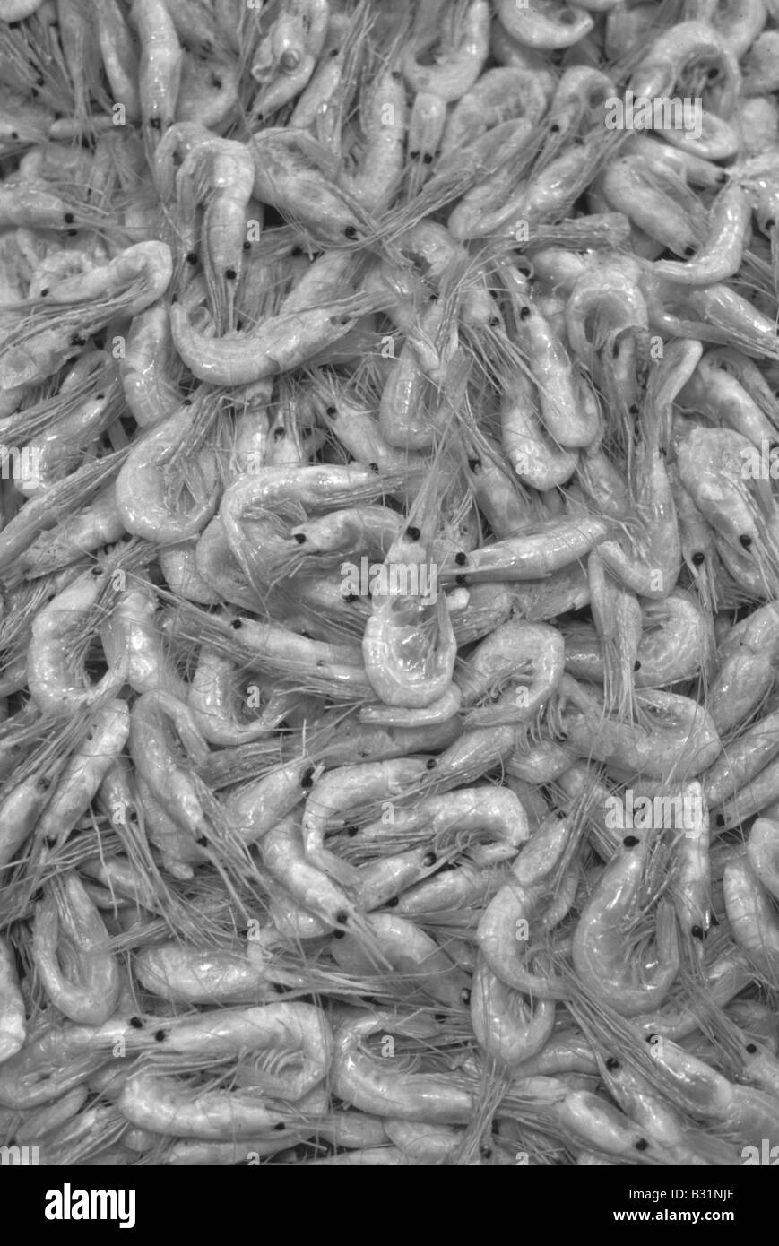 Market pile Black and White Stock Photos & Images - Alamy