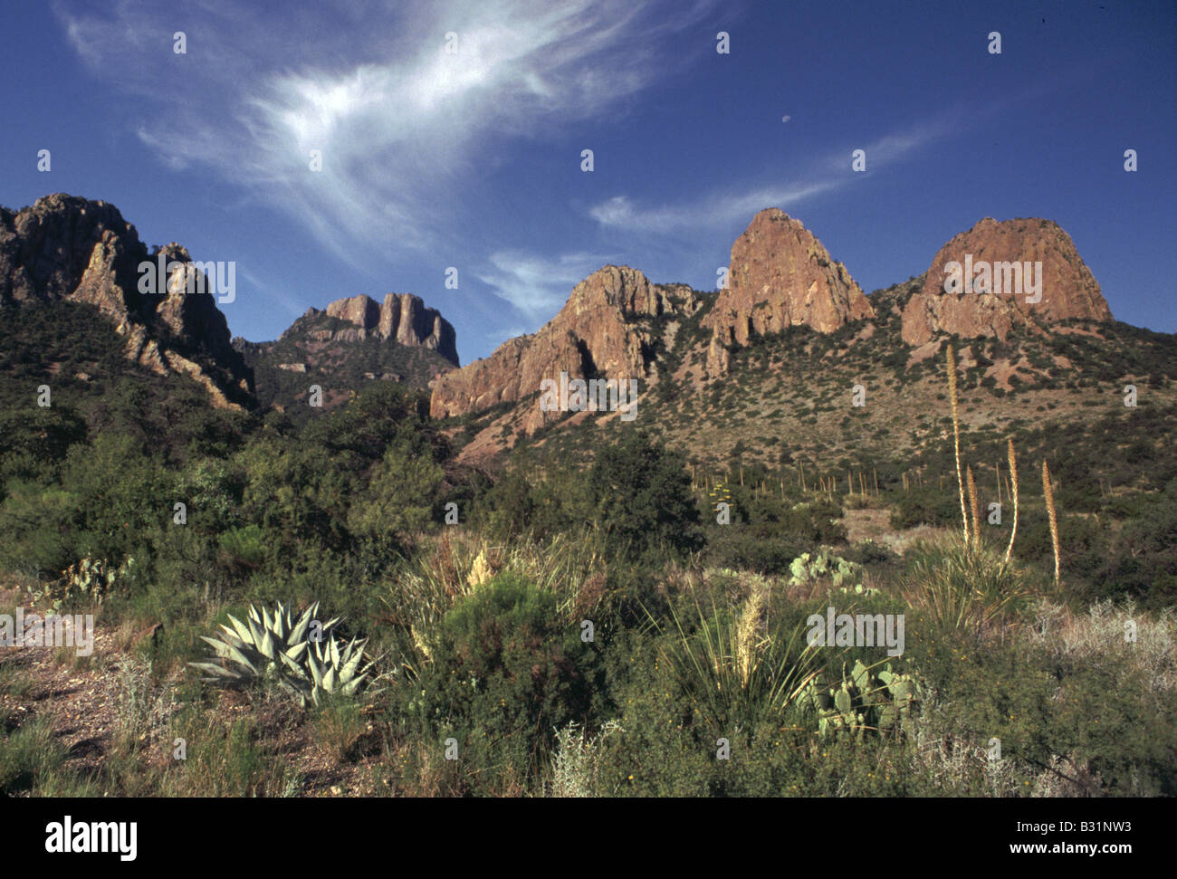 Chisos Mountains Big Bend National Park West Texas Stock Photo - Alamy