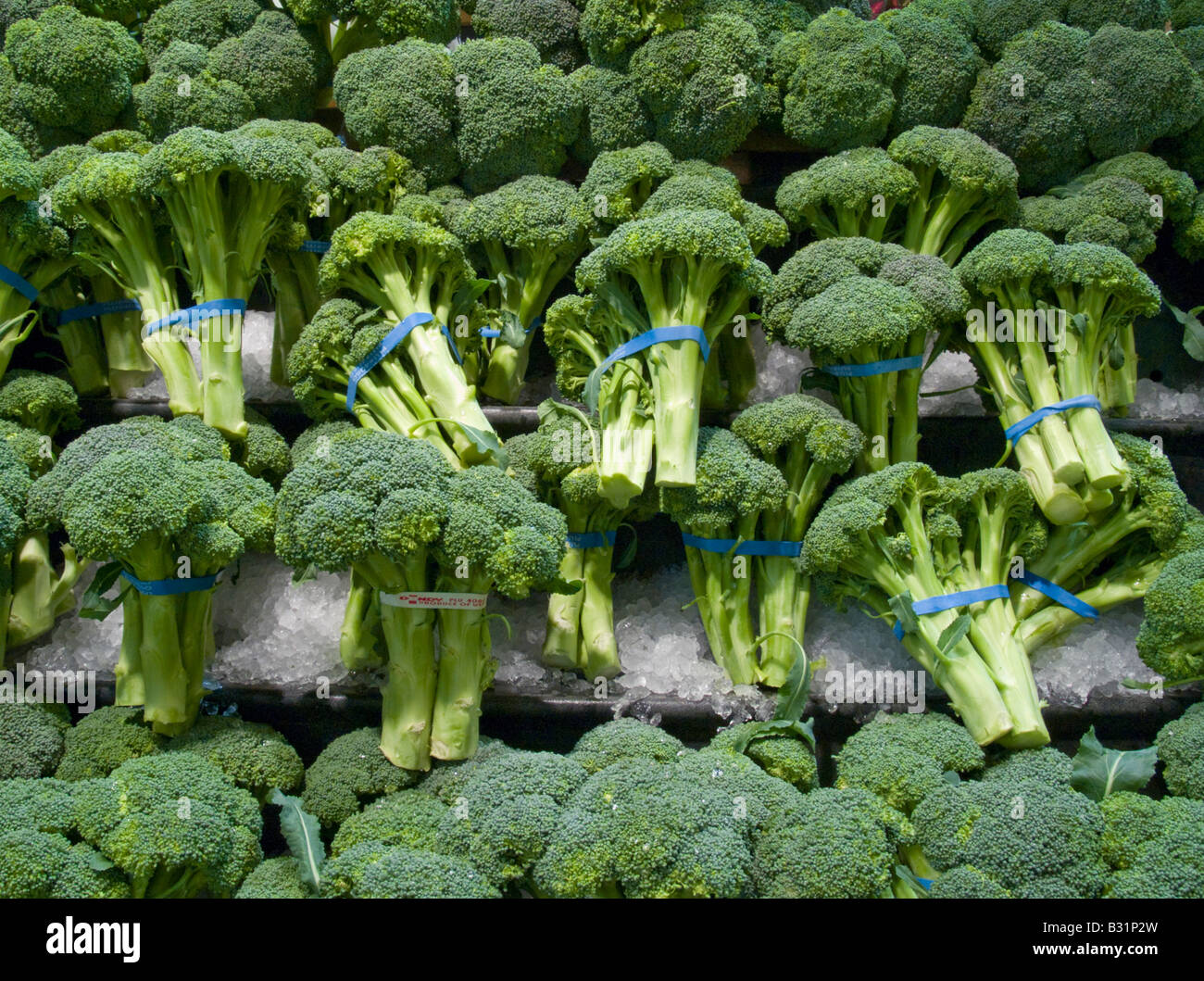 Broccoli head hi-res stock photography and images - Alamy