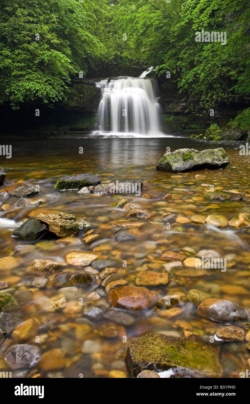 Cauldron Falls West Burton Wensleydale North Yorkshire Stock Photo - Alamy