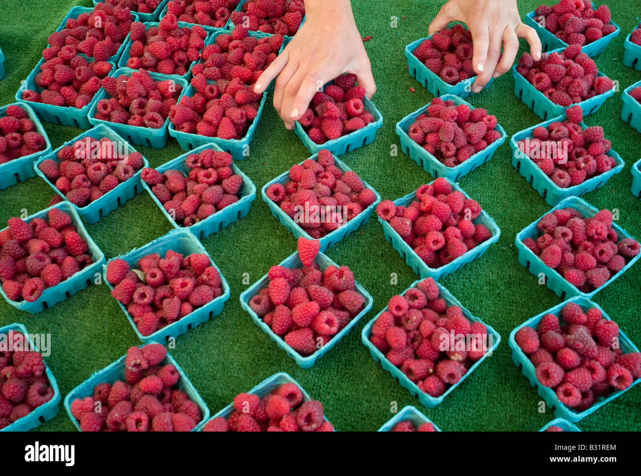 Raspberries for sale Sunday Farmers Market West Seattle Washington ...