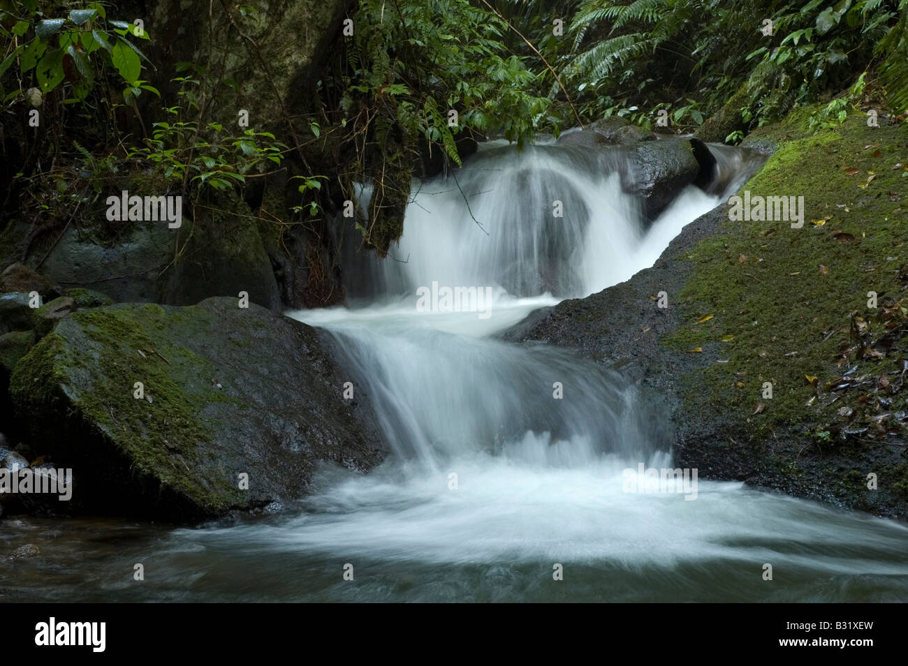 Cikaniki hi-res stock photography and images - Alamy