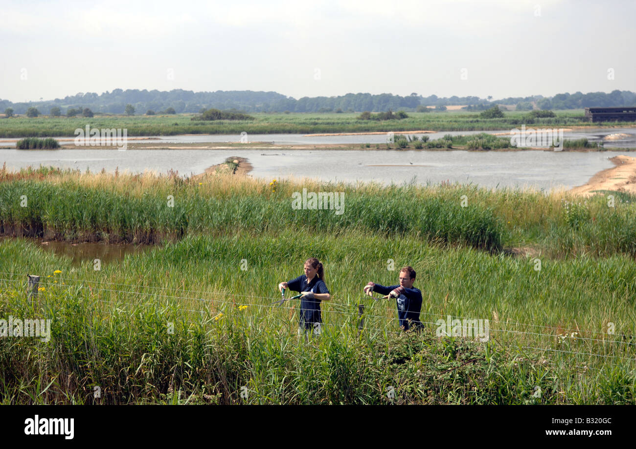 Volunteers working on the RSPB nature reserve at Minsmere in Suffolk ...