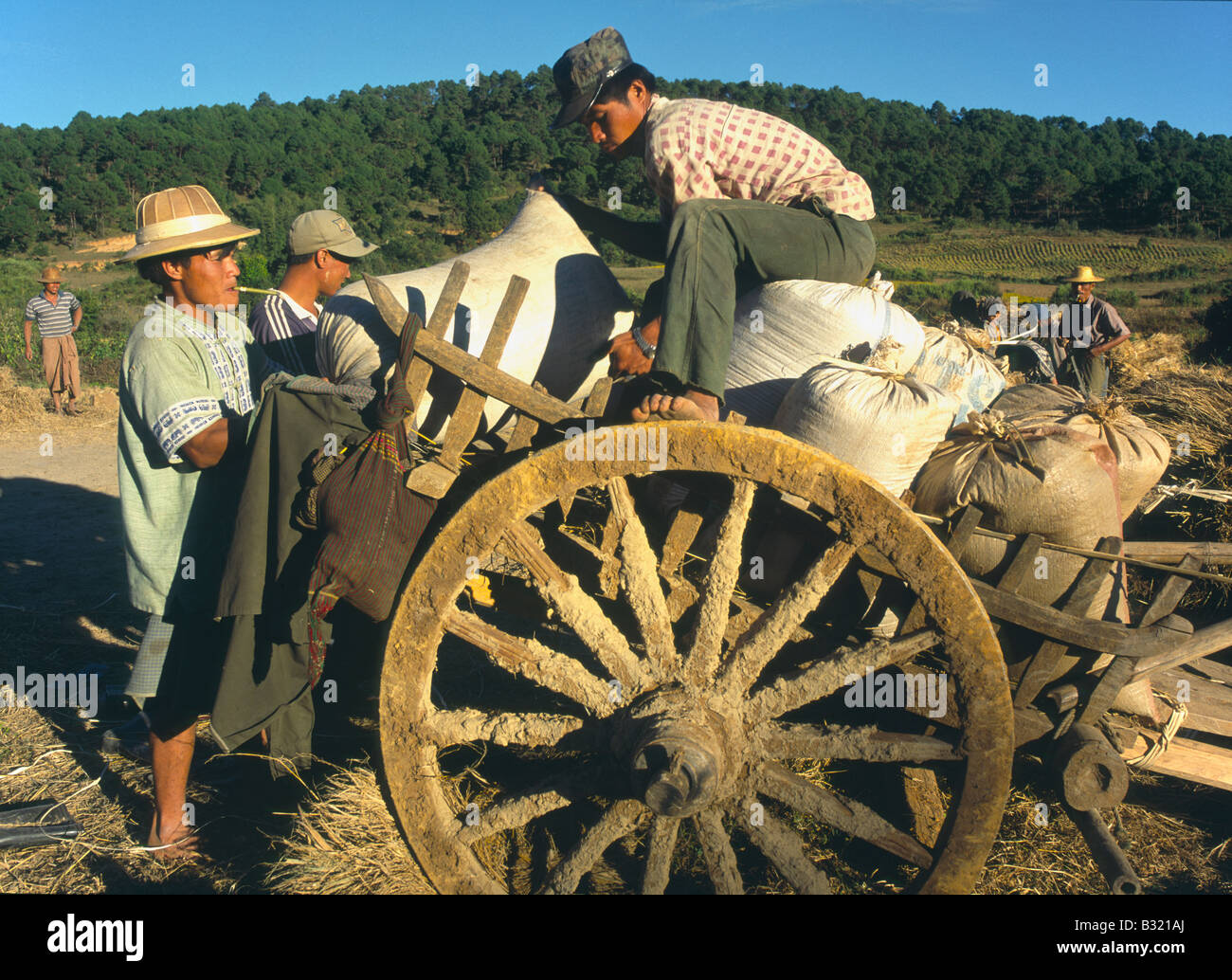 Rice loading hi-res stock photography and images - Alamy