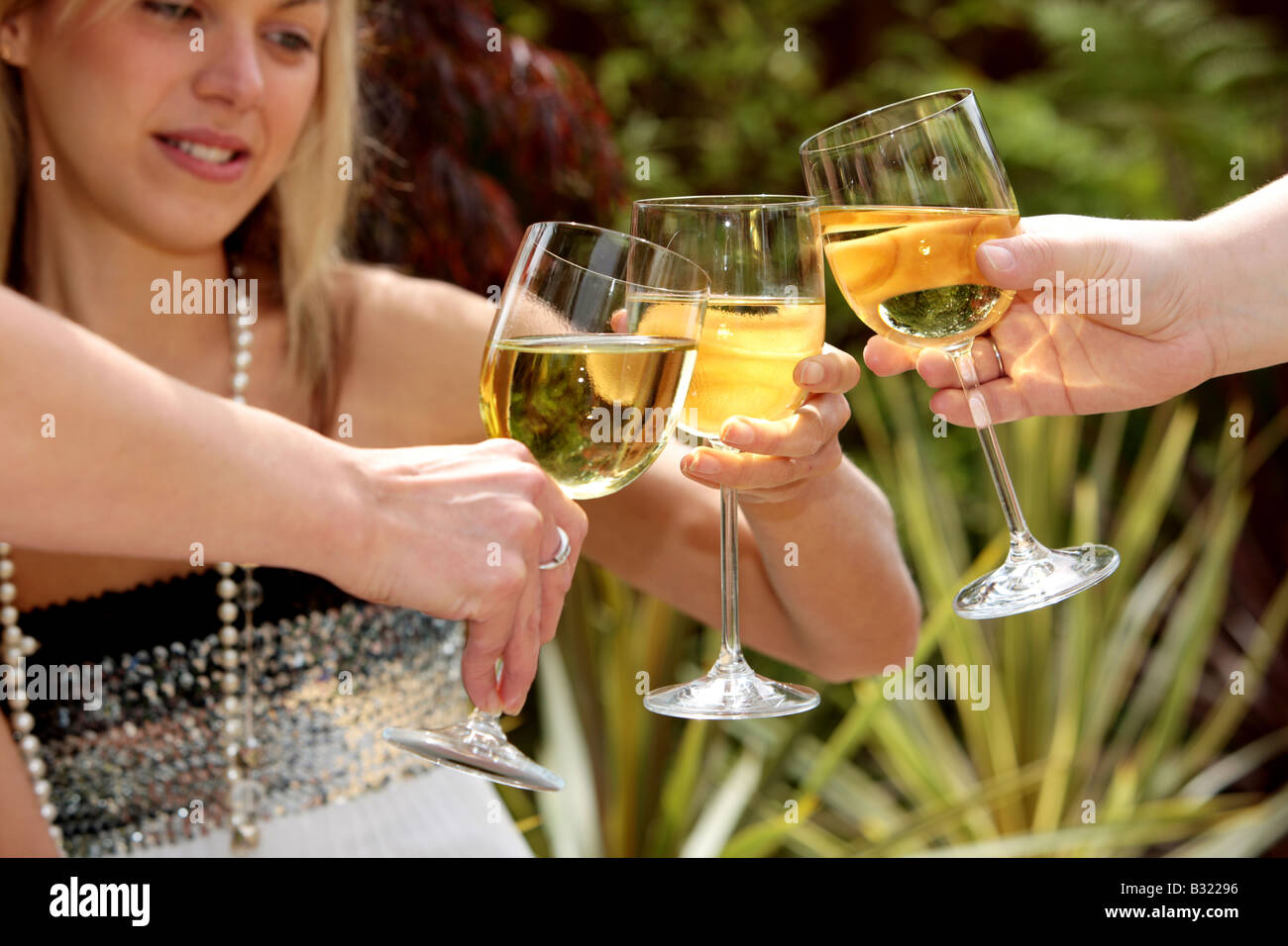 Young Women Making a Toast Model Released Stock Photo - Alamy