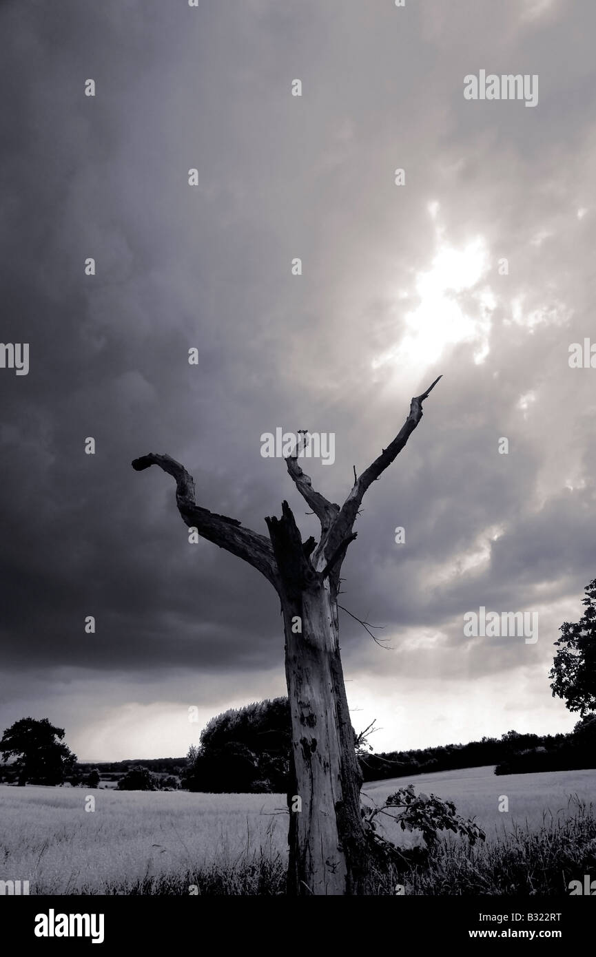 Urban ghost story hi-res stock photography and images - Alamy