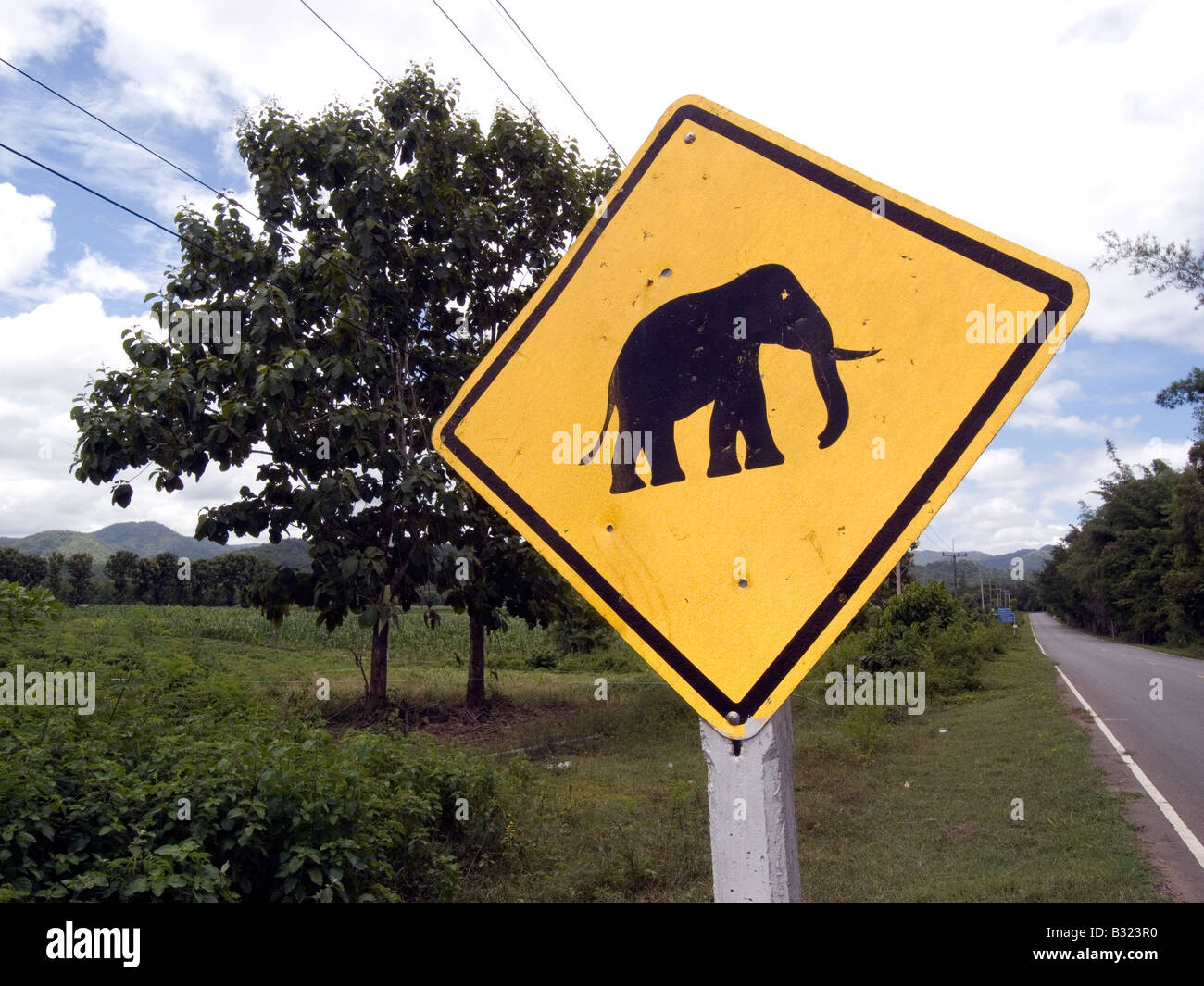 Beware elephants road sign. Elephants crossing. Kanchanaburi province ...