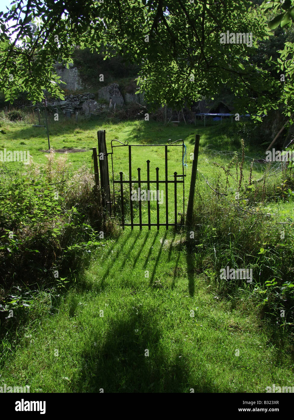 walk way foot path woods in country Stock Photo - Alamy