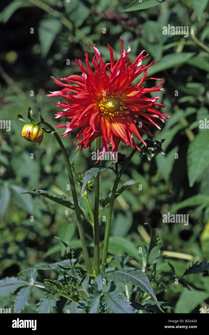 Wilmington delaware hi-res stock photography and images - Alamy