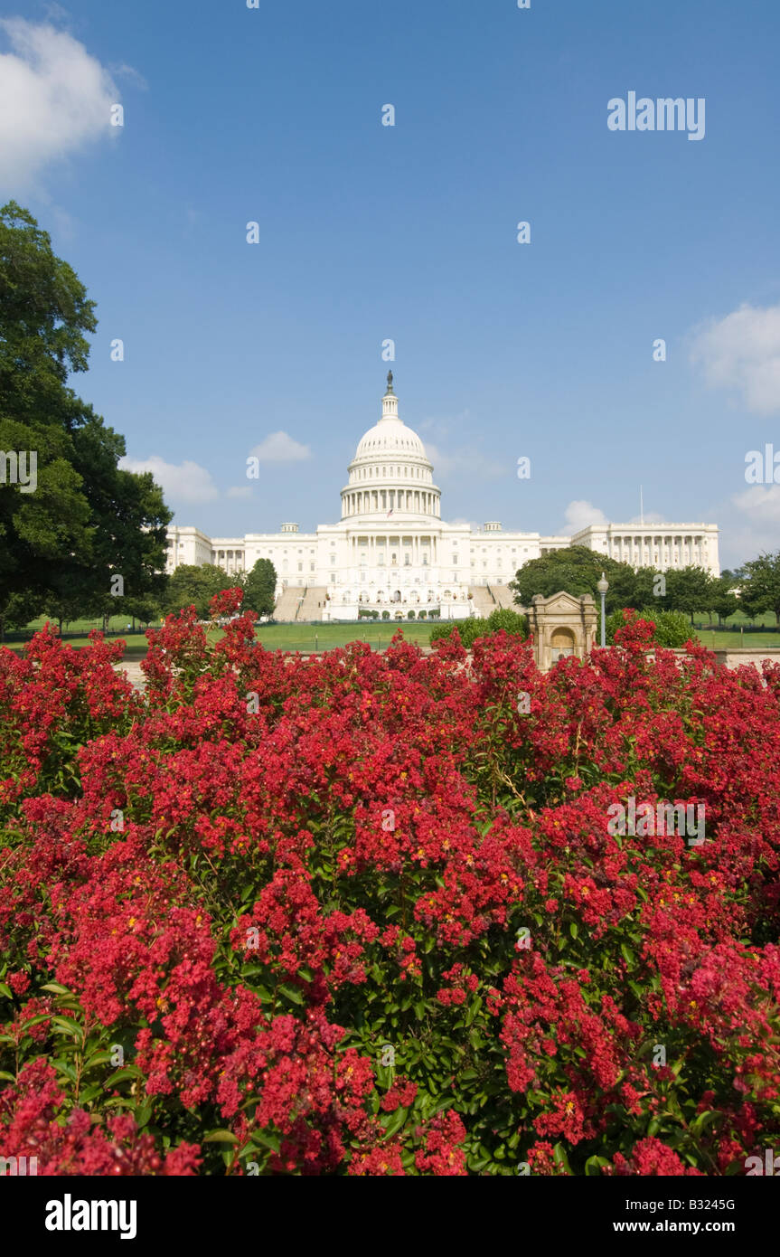 Patriotic Flowers High Resolution Stock Photography and Images - Alamy