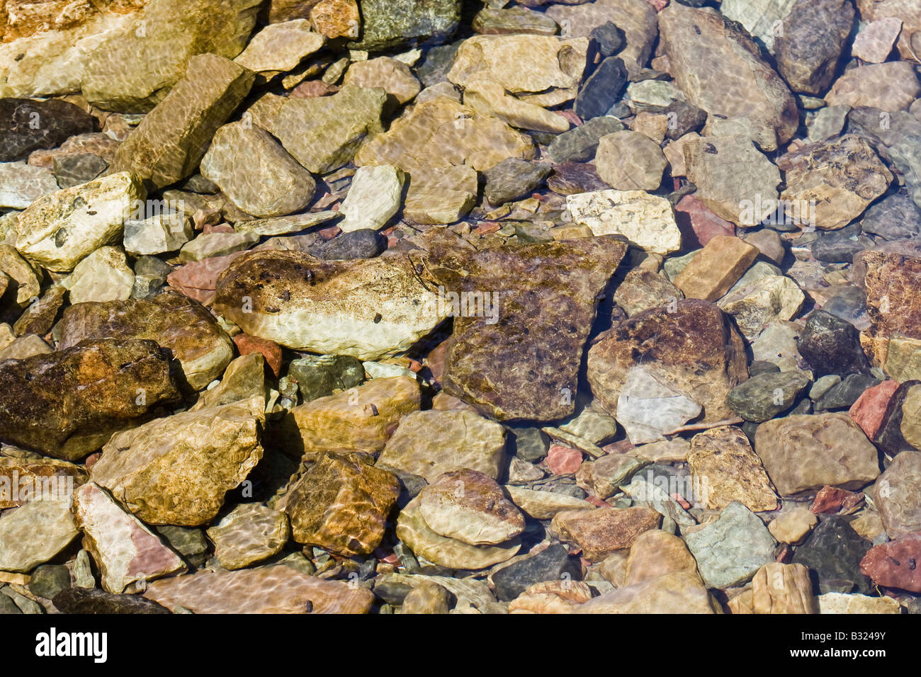 Stones at the bottom of a stream Stock Photo - Alamy