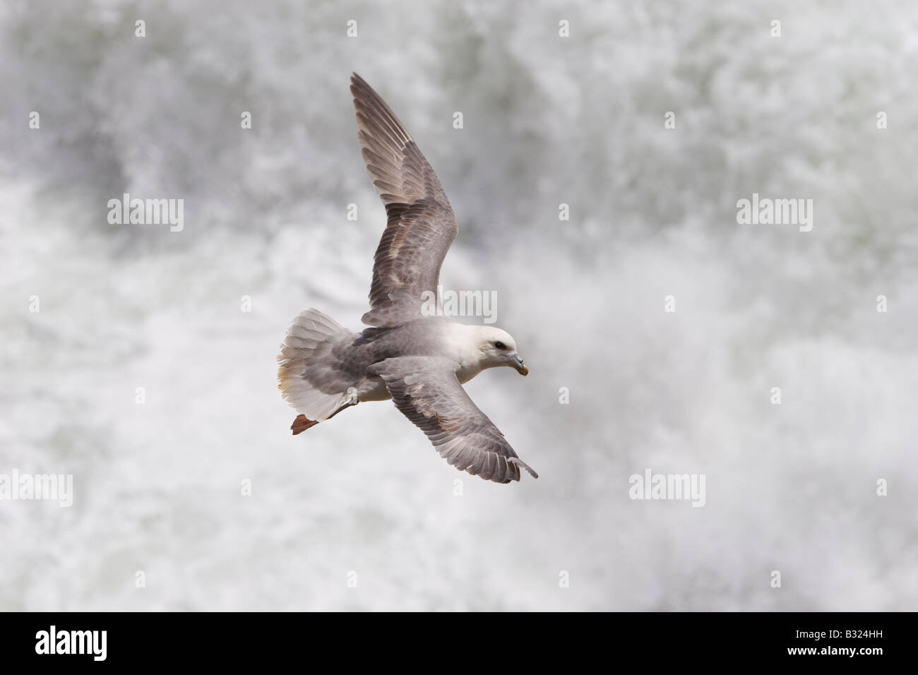 Rough flight hi-res stock photography and images - Alamy