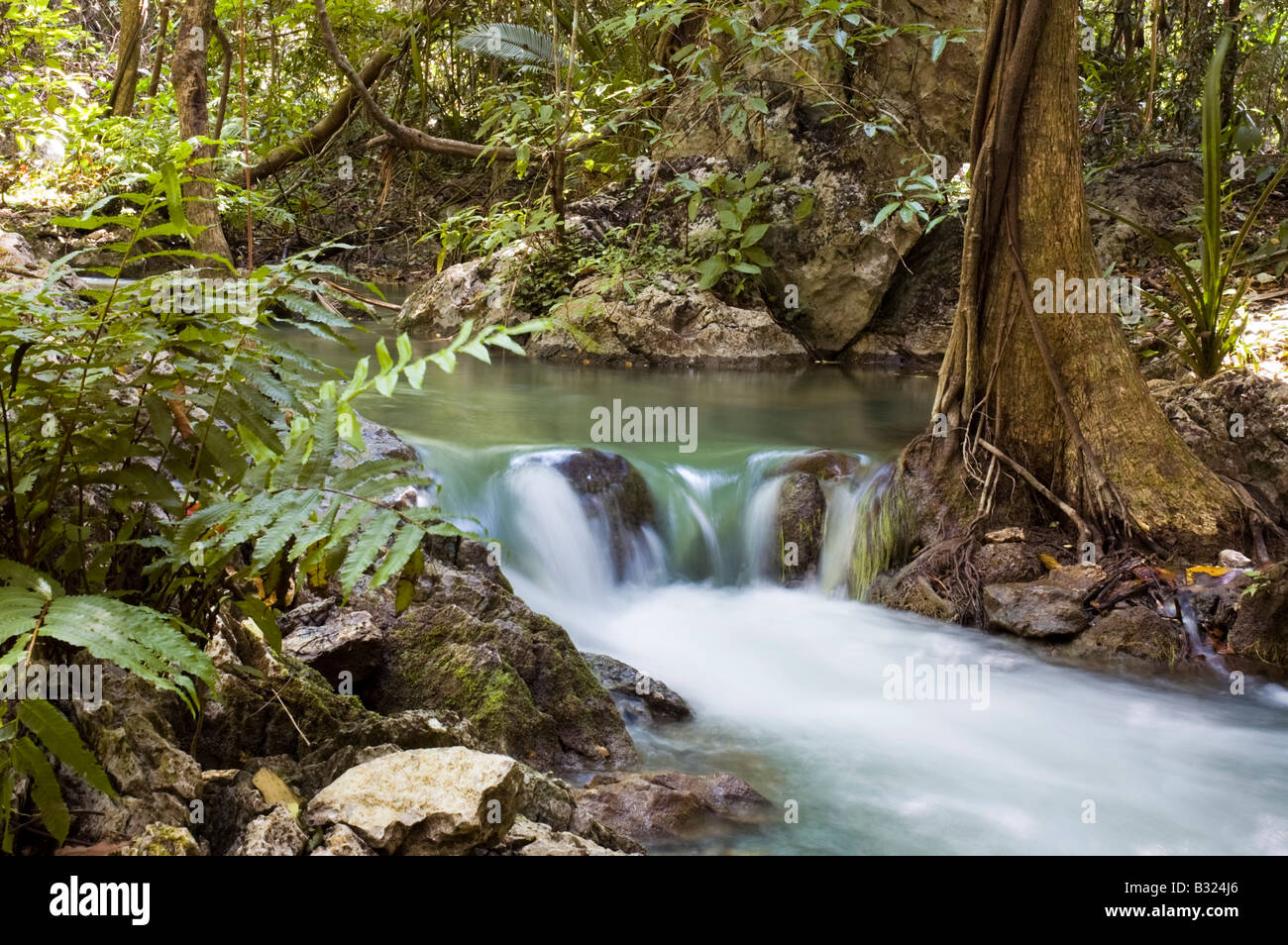 Small waterfall in a jungle stream in Kanchanaburi, Thailand Stock ...