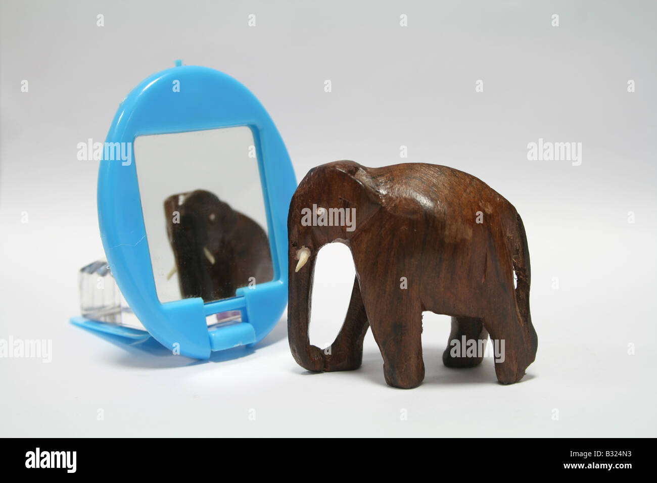 Elephant looking in mirror hi-res stock photography and images - Alamy