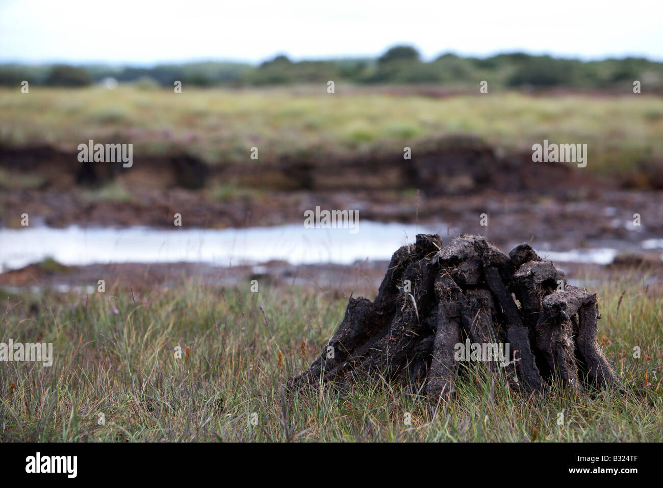 single stack of cut peat turf fuel air drying on the blanket bog in ...