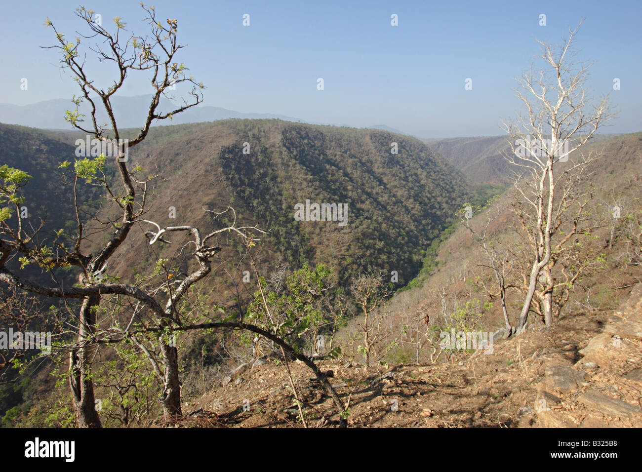 Moyar Gorge at Bandipur Stock Photo - Alamy