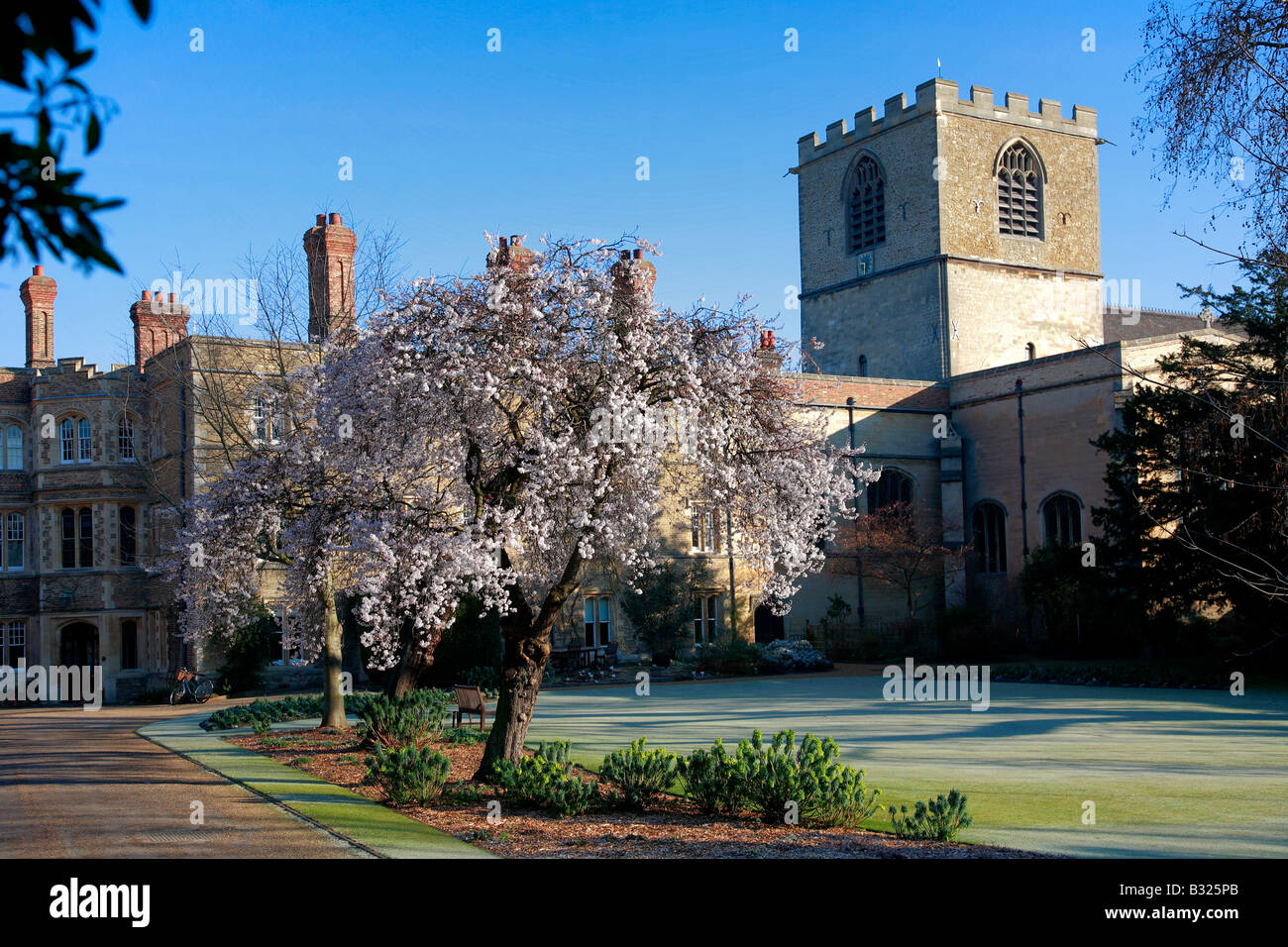 Jesus college cambridge chapel hi-res stock photography and images - Alamy