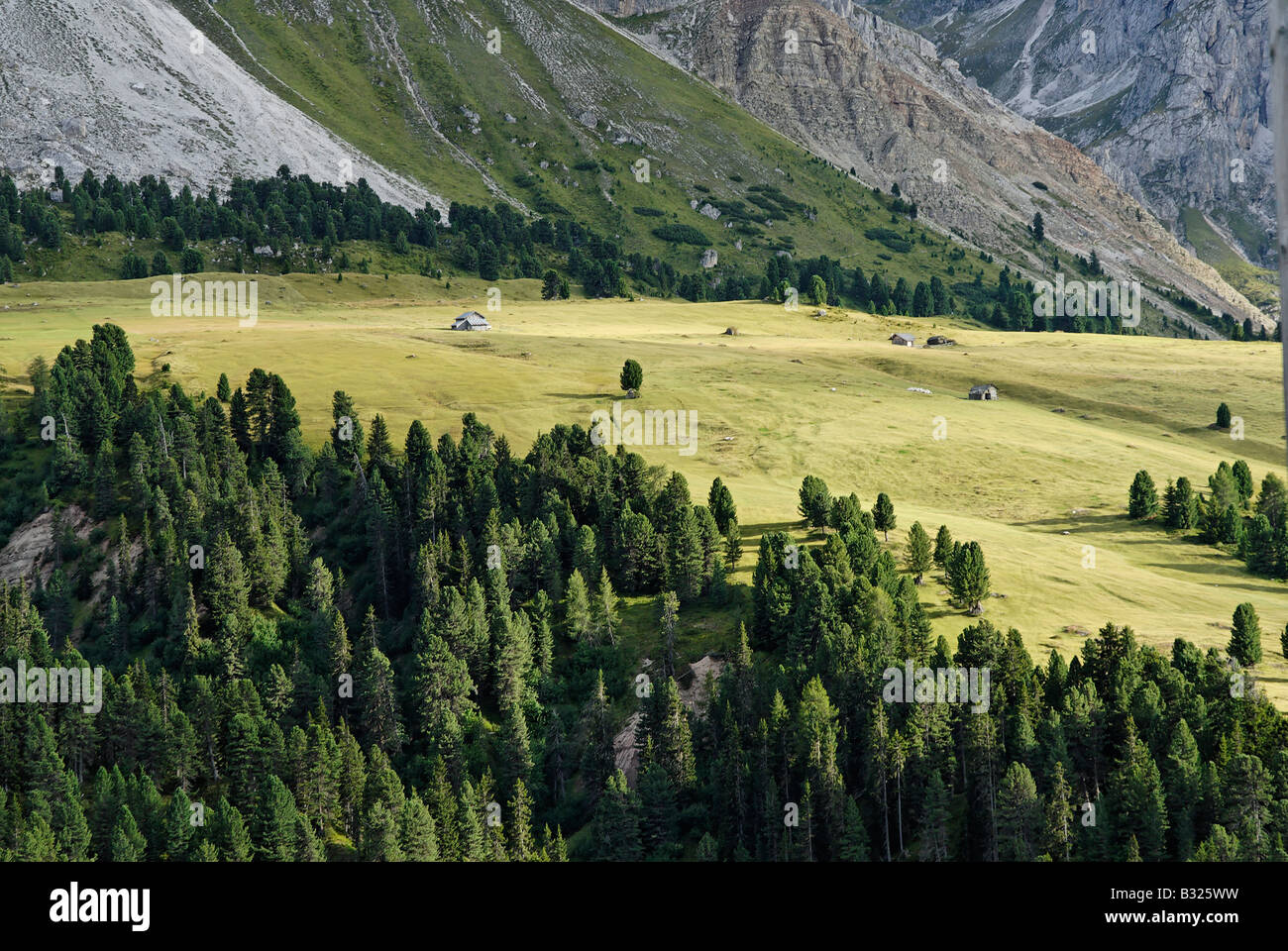 Highland grass meadow Stock Photo - Alamy