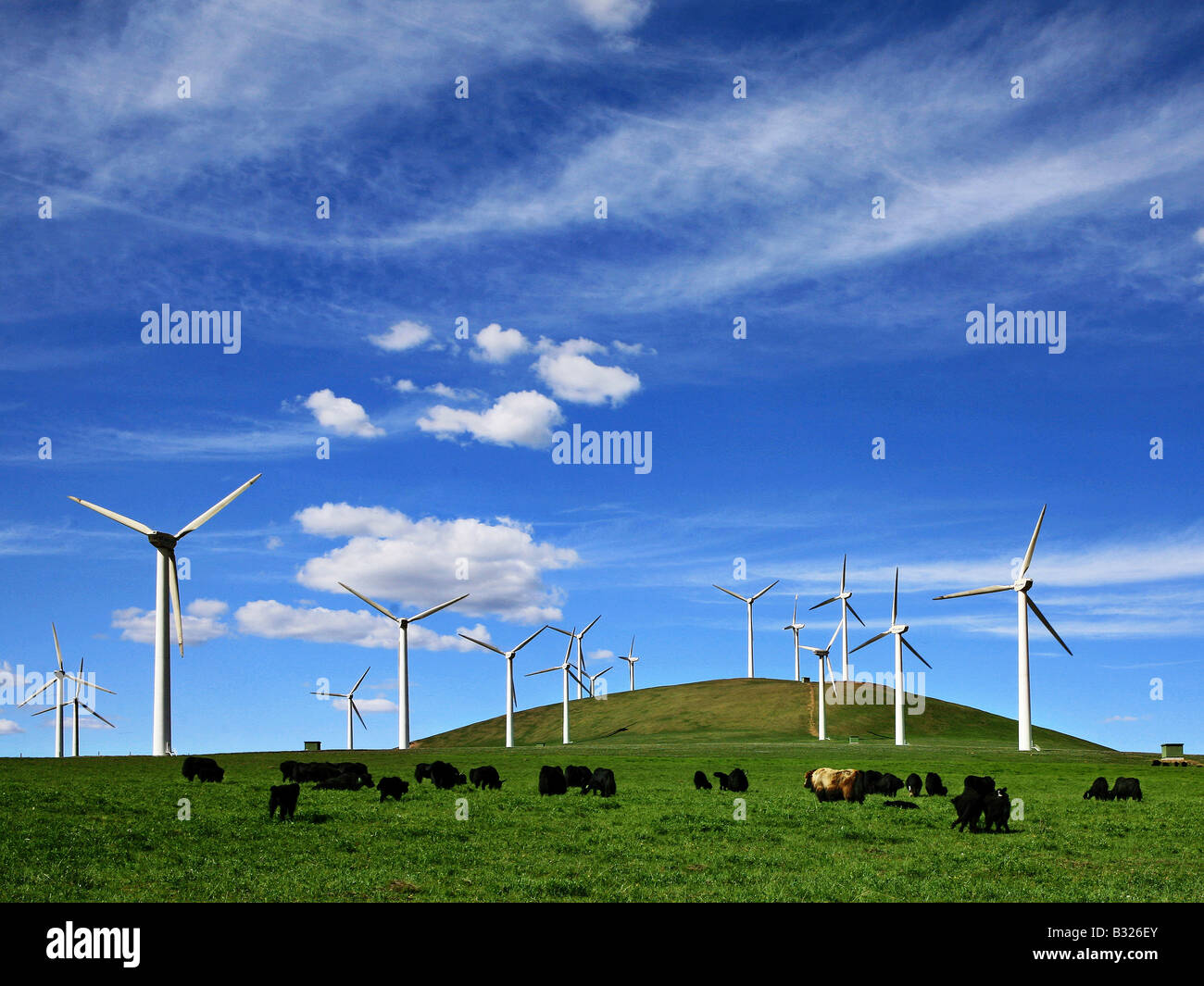 Natrue Photography High Resolution Stock Photography and Images - Alamy