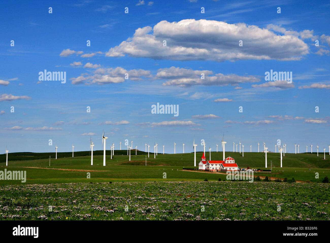 Natrue Photography High Resolution Stock Photography and Images - Alamy